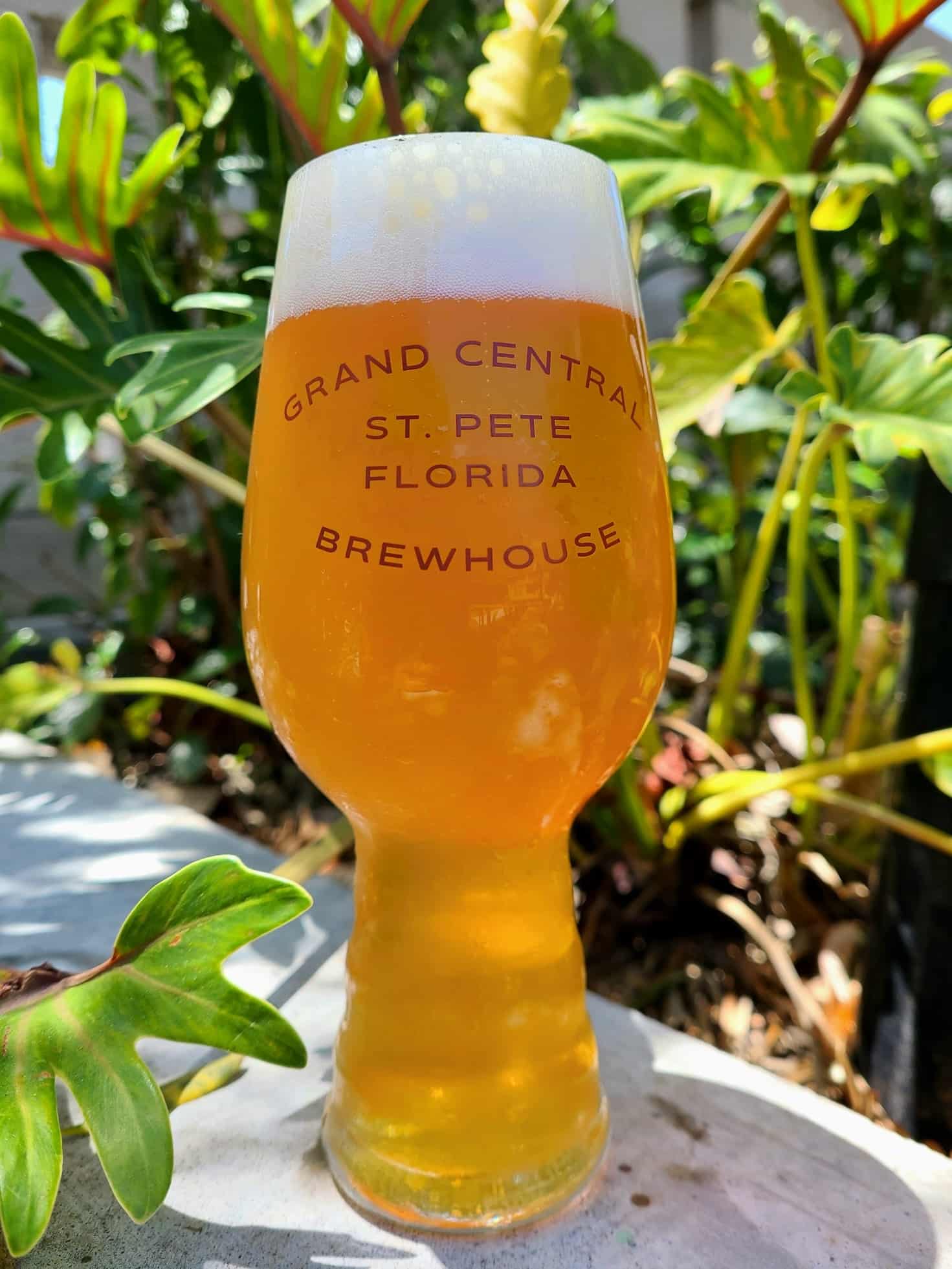 Galactic Assassin - Grand Central Brewhouse